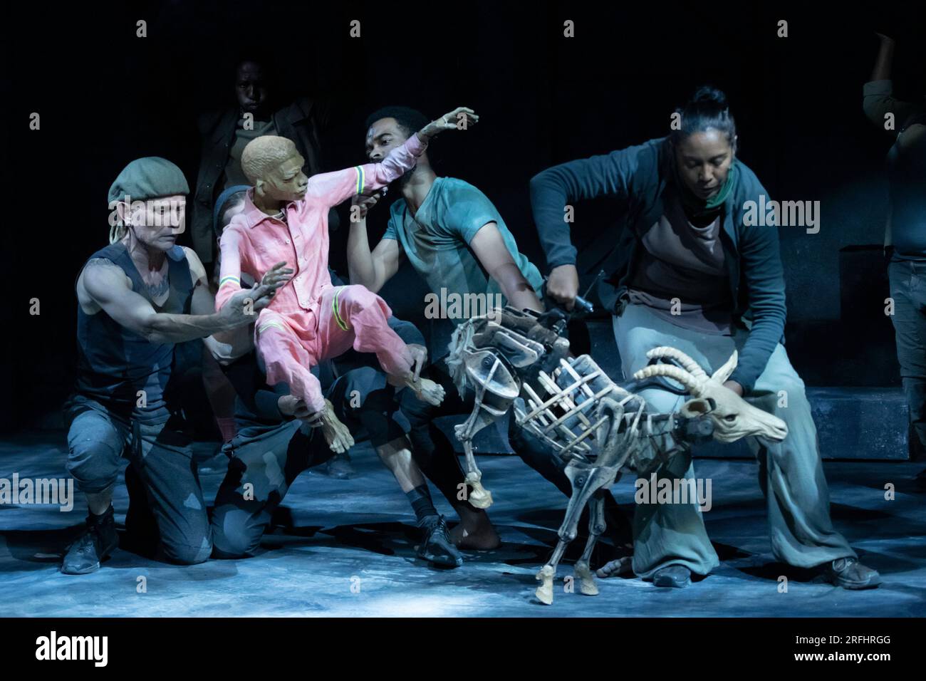 Baxter theatre and handspring puppet company hi-res stock photography ...