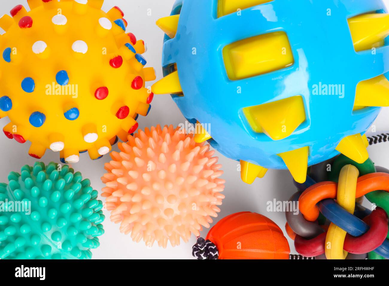 Different bright pet toys on white background, top view. Shop ...