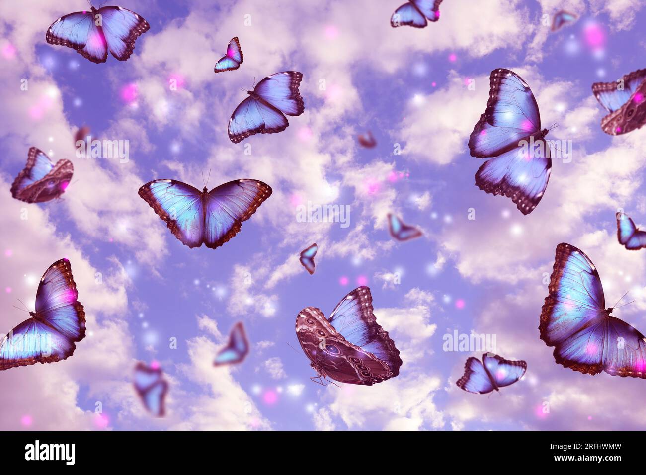 Flying Beautiful Butterflies