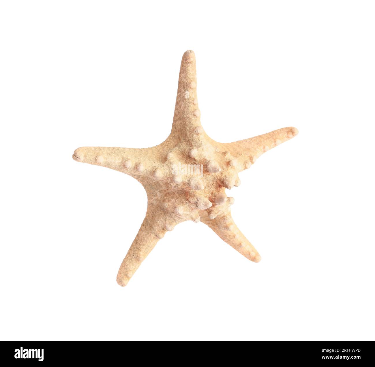 Beautiful sea star (starfish) isolated on white Stock Photo - Alamy