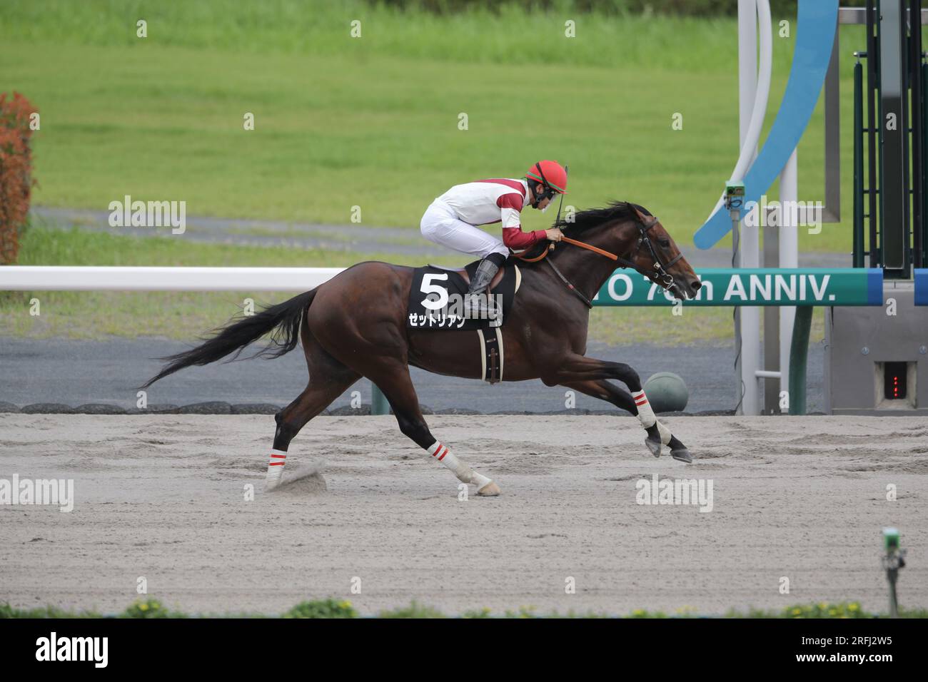 Aichi, Japan. 15th July, 2023. 2023/07/15 CHUKYO 10R OBU TOKUBETSU /1 ...