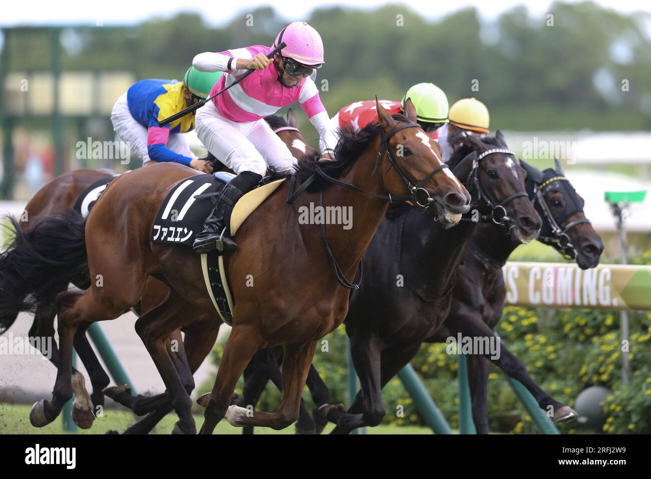 Aichi, Japan. 15th July, 2023. 2023/07/15 CHUKYO 11R SEKIGAHARA STAKES ...
