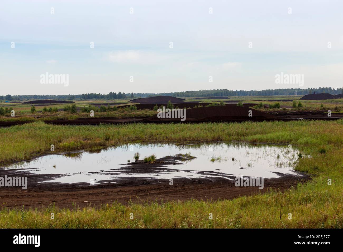black peat is stacked in huge piles for loading on transport, the ...