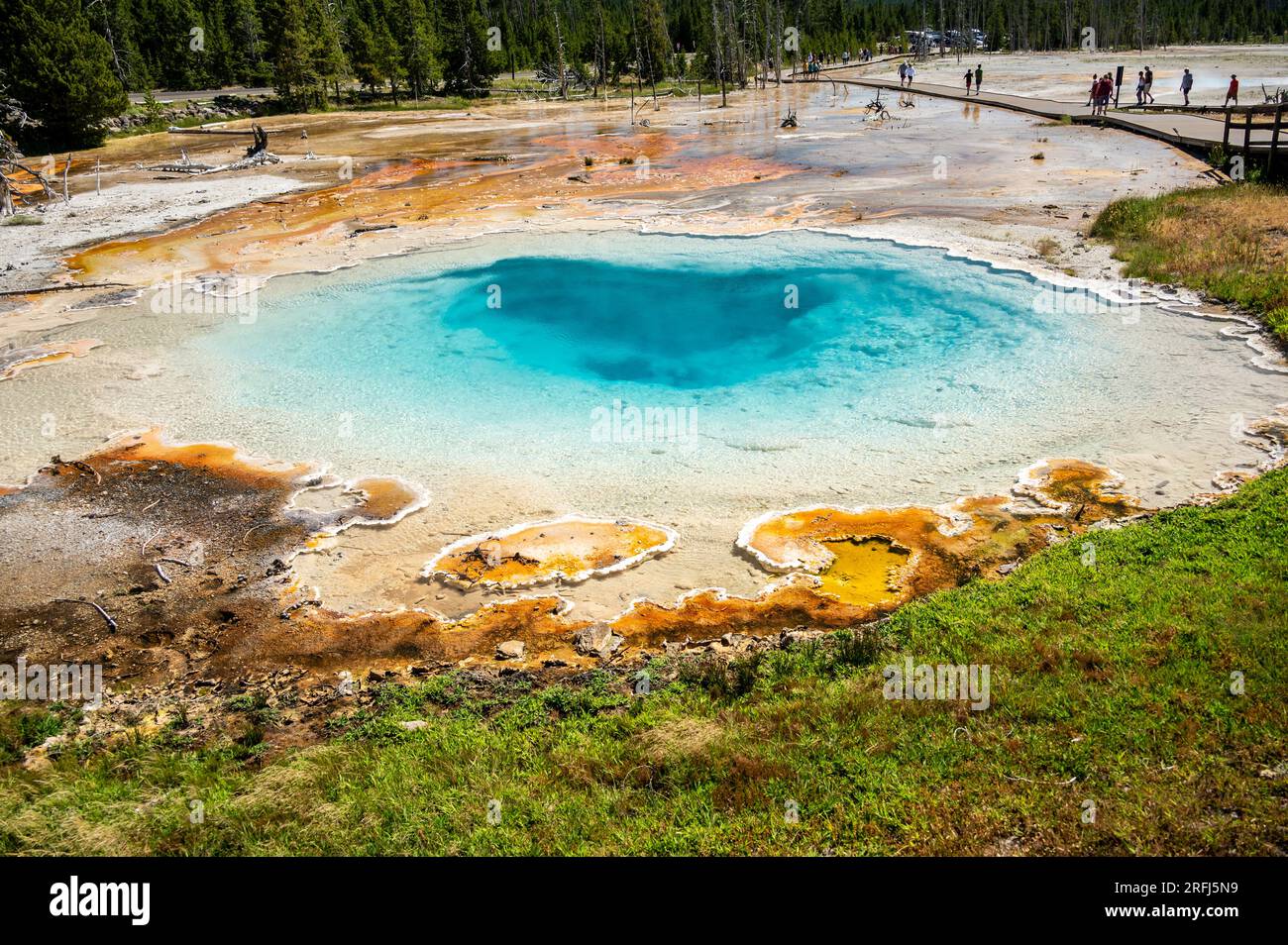 Colors of The Silex Spring In Summer in Yellowstone Stock Photo - Alamy