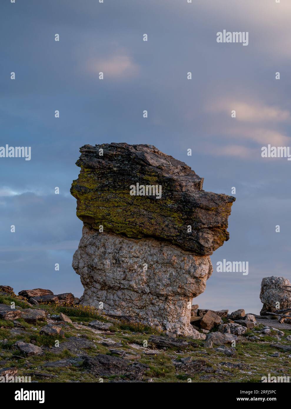 Evening Highlights On Small Mushroom Rock Formation In The Tundra of ...