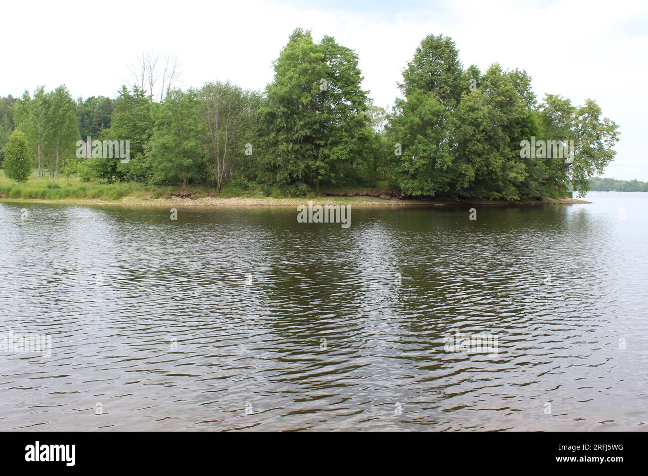 Daugava River with trees in Sece, Latvia Stock Photo - Alamy