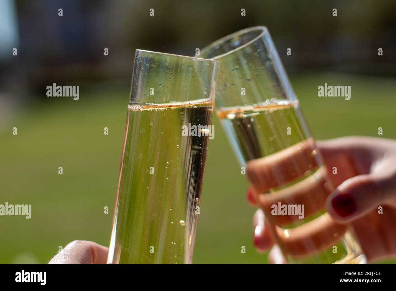 Champagne Being Toasted Outdoors Stock Photo - Alamy