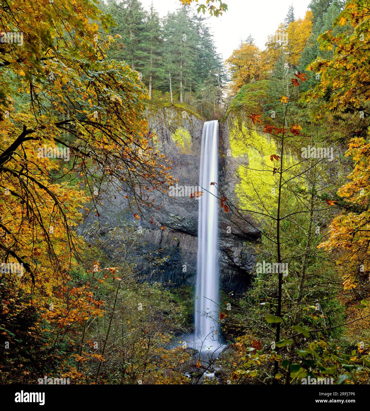 Latourell Falls in the Columbia Gorge, taken in Oregon in Autumn Stock ...