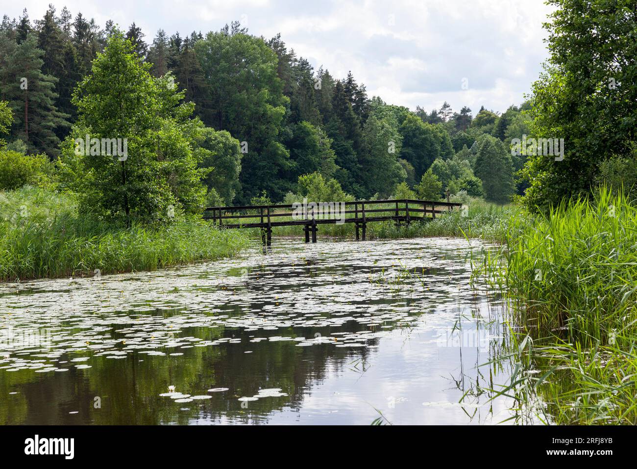a bridge between small islands on the lake, old wooden bridge built on ...