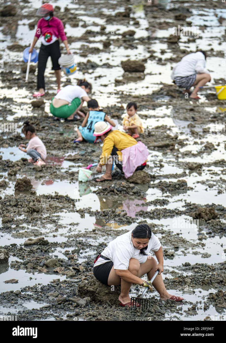 People pick up shells at the seaside in Qionghai City, southernmost ...