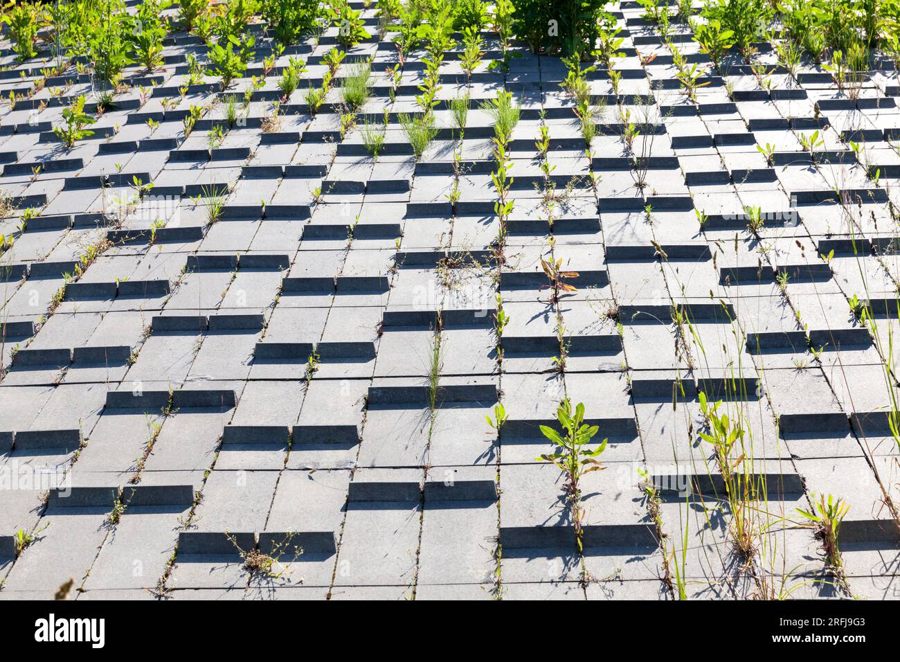 fencing and concrete anchoring on bridges and other structures built on ...