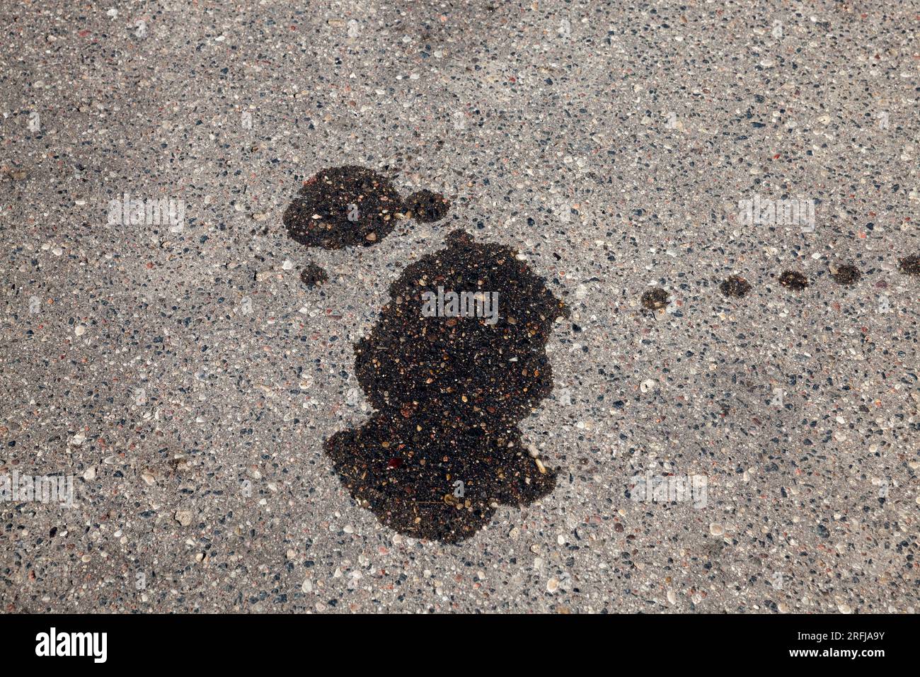 car oil stains on an asphalt road, stains from engine oil flowing out ...