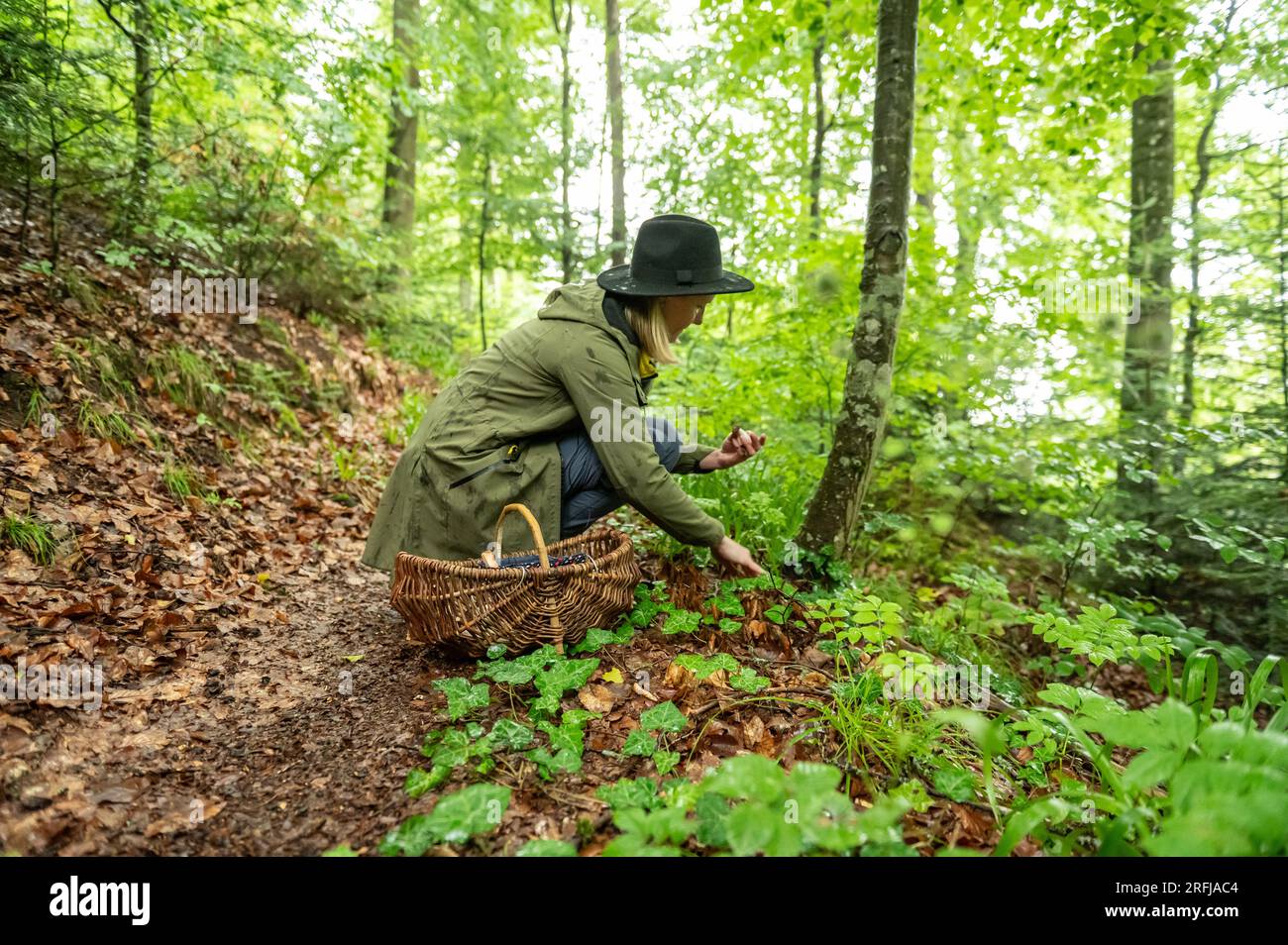 Badenweiler, Germany. 01st Aug, 2023. Nadja Frotscher, mushroom coach ...