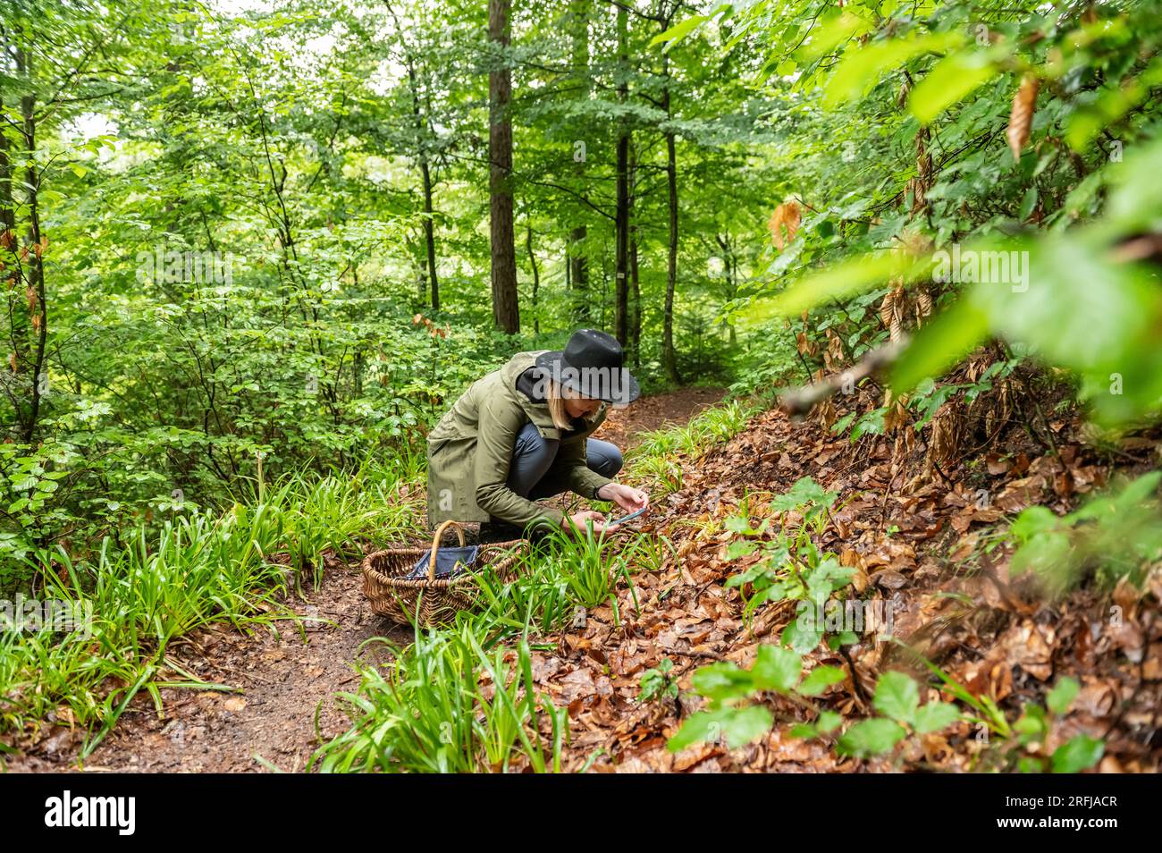 Badenweiler, Germany. 01st Aug, 2023. Nadja Frotscher, mushroom coach ...
