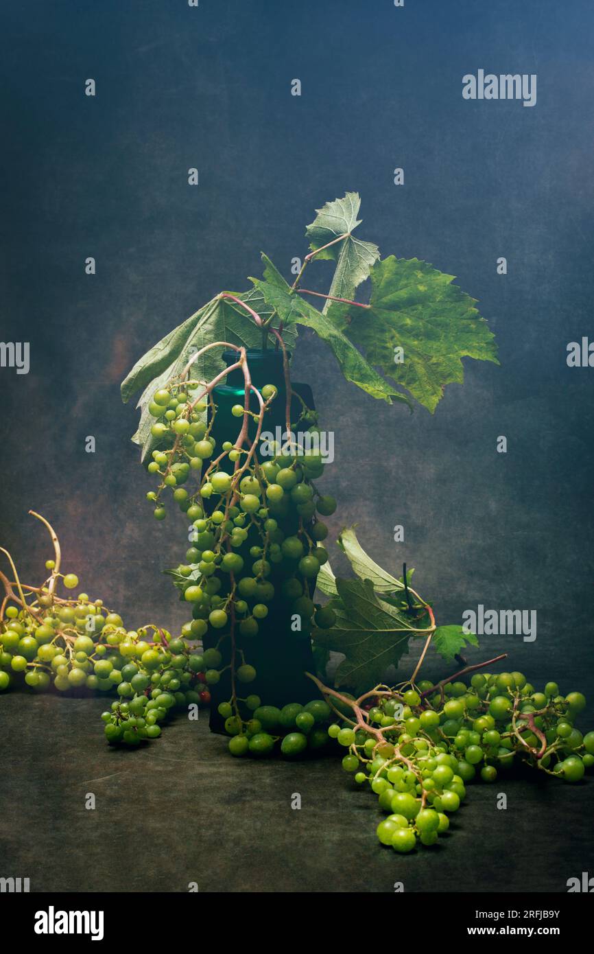 Still life with branches of green grapes Stock Photo - Alamy