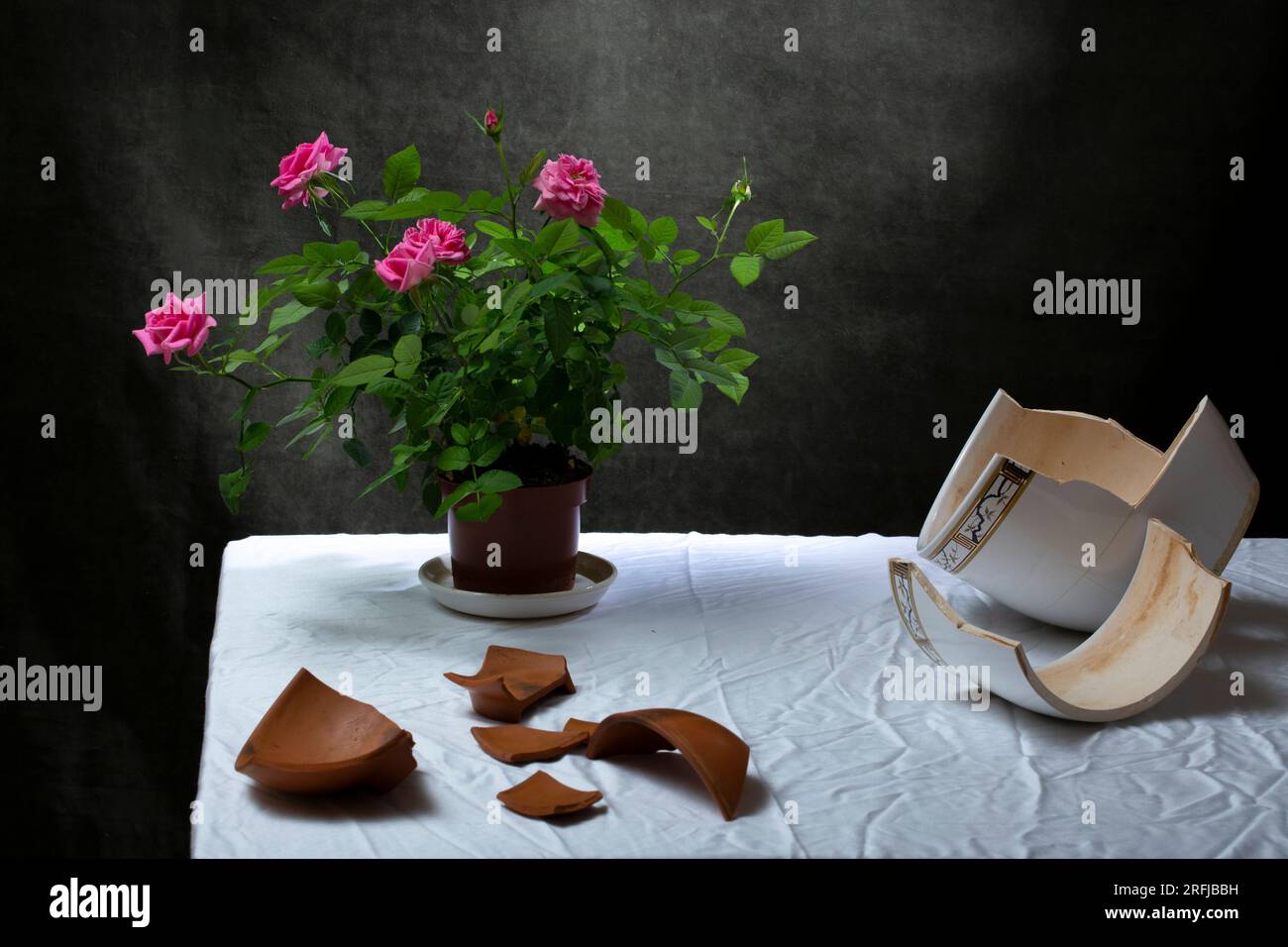 Broken pot hi-res stock photography and images - Alamy