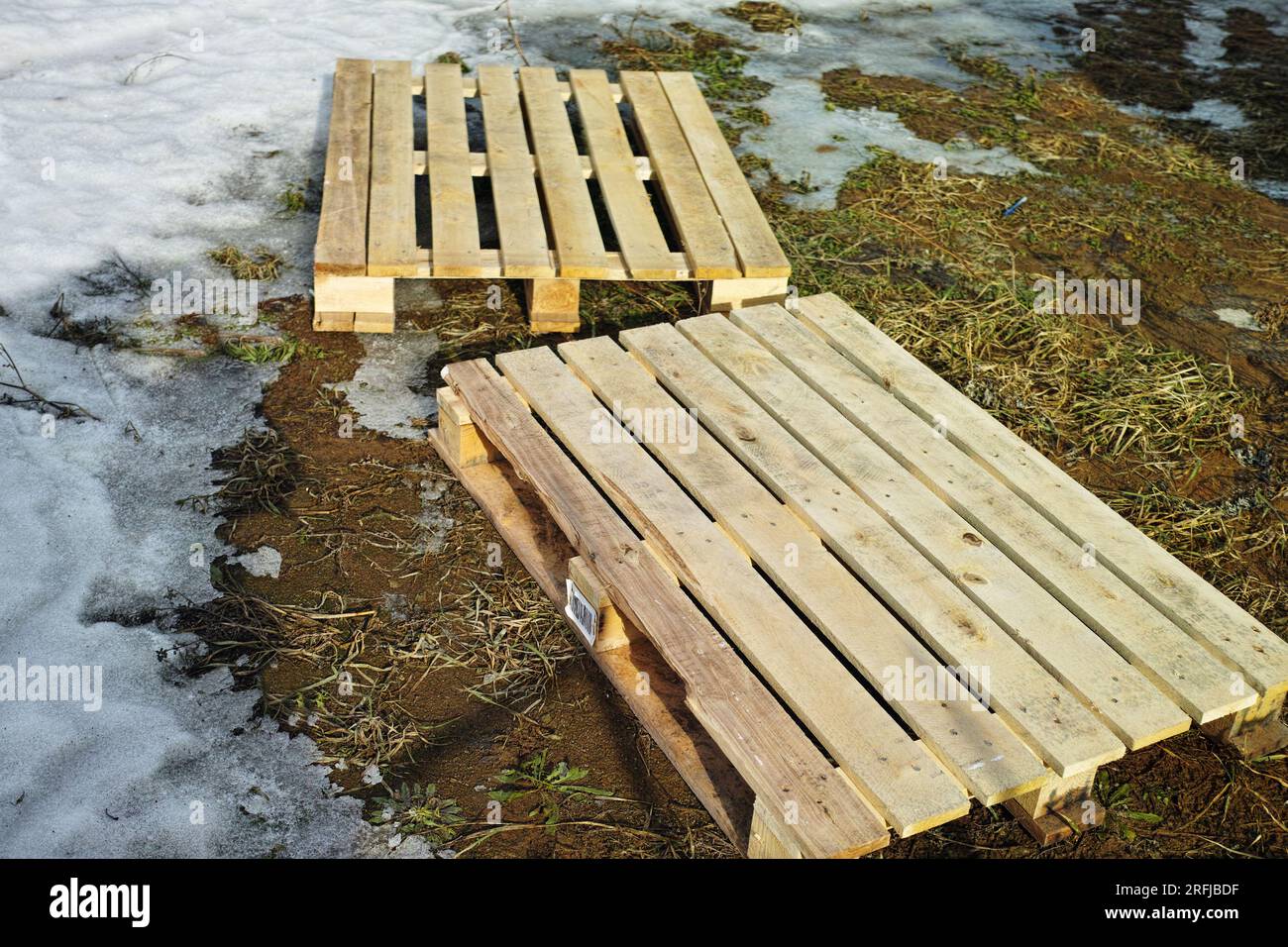 a path arranged with euro pallets dropped on the ground, springtime ...