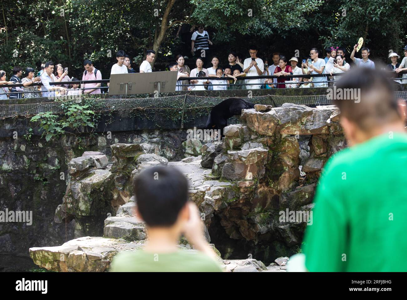 Many people come to watch the Malayan sun bear who can stands upright ...
