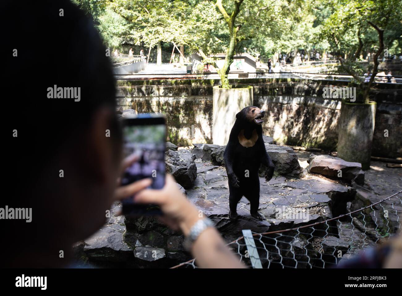 Many people come to watch the Malayan sun bear who can stands upright ...