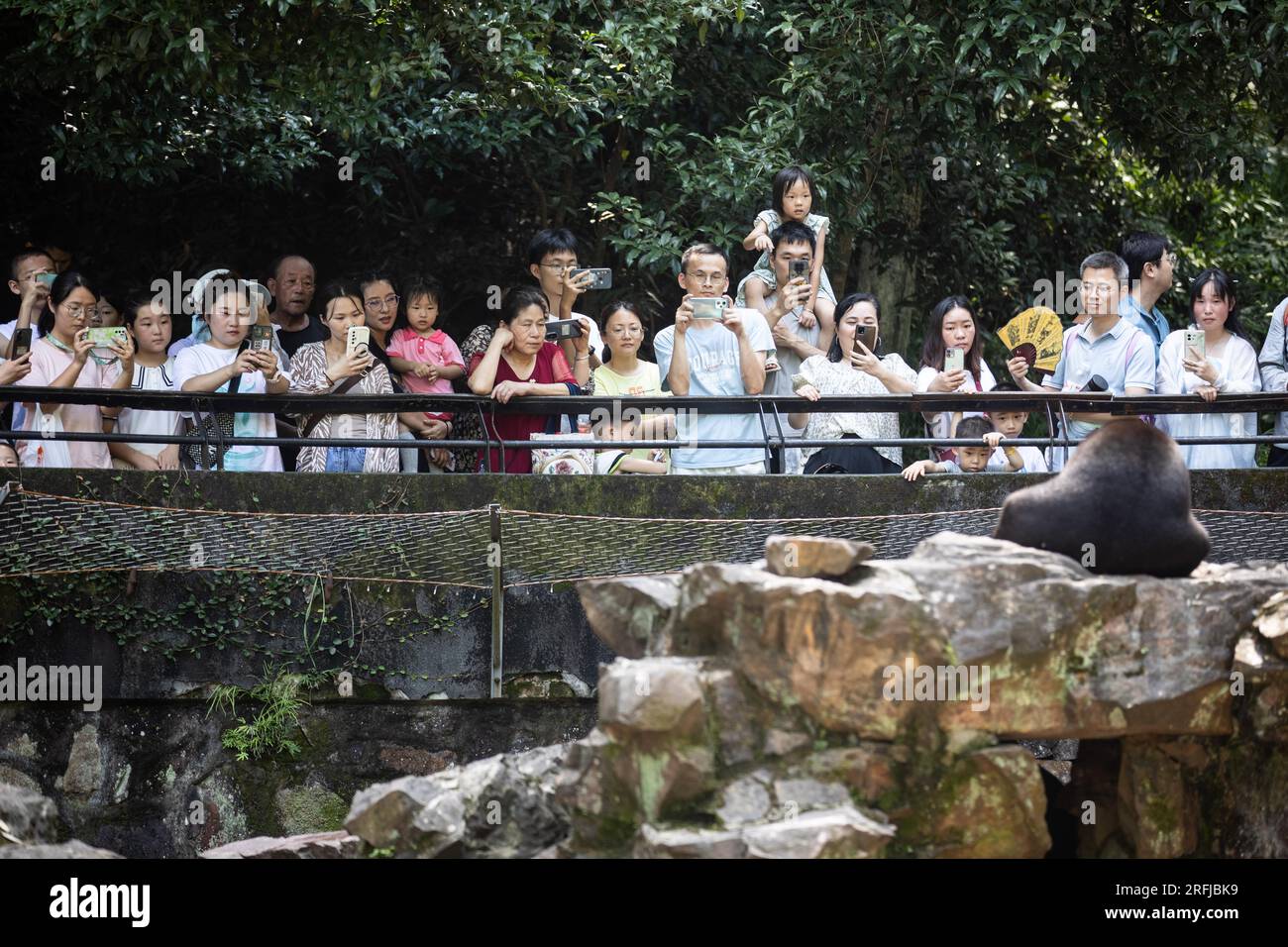 Many people come to watch the Malayan sun bear who can stands upright ...