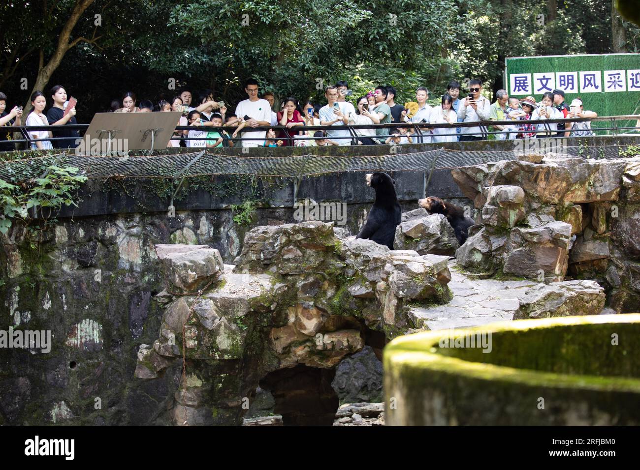 Many people come to watch the Malayan sun bear who can stands upright ...
