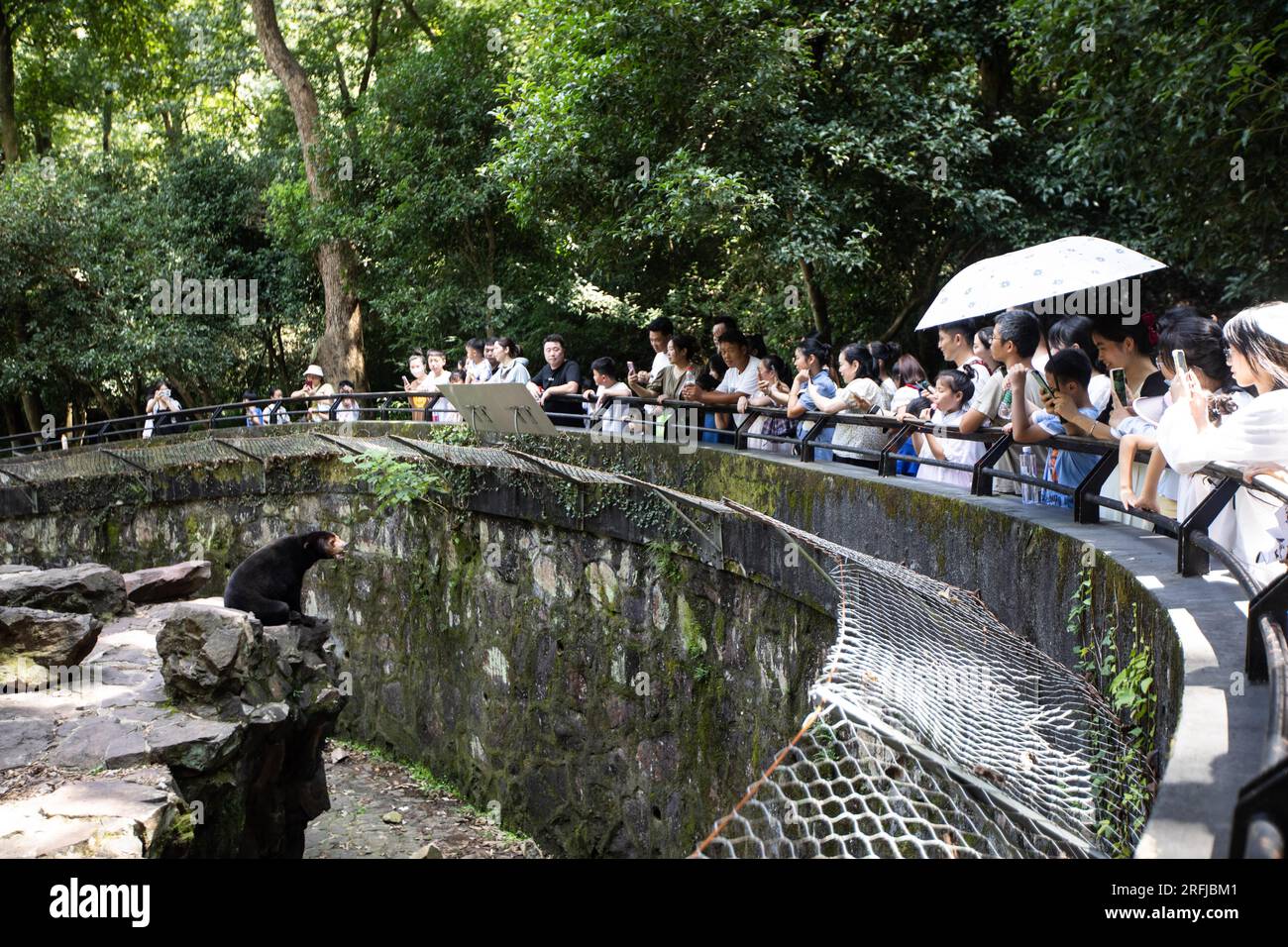Many people come to watch the Malayan sun bear who can stands upright ...