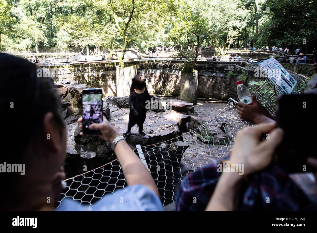 Many people come to watch the Malayan sun bear who can stands upright ...