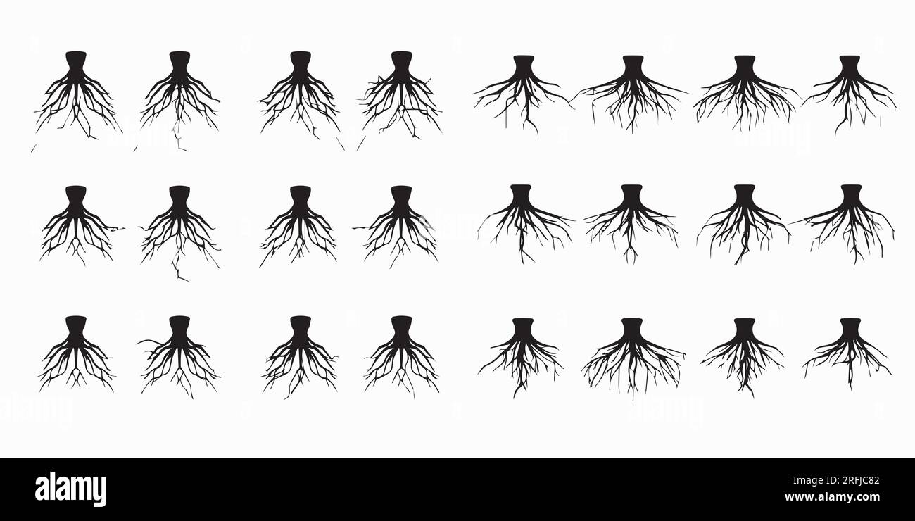 A set of Silhouette root vector illustration Stock Vector Image & Art ...