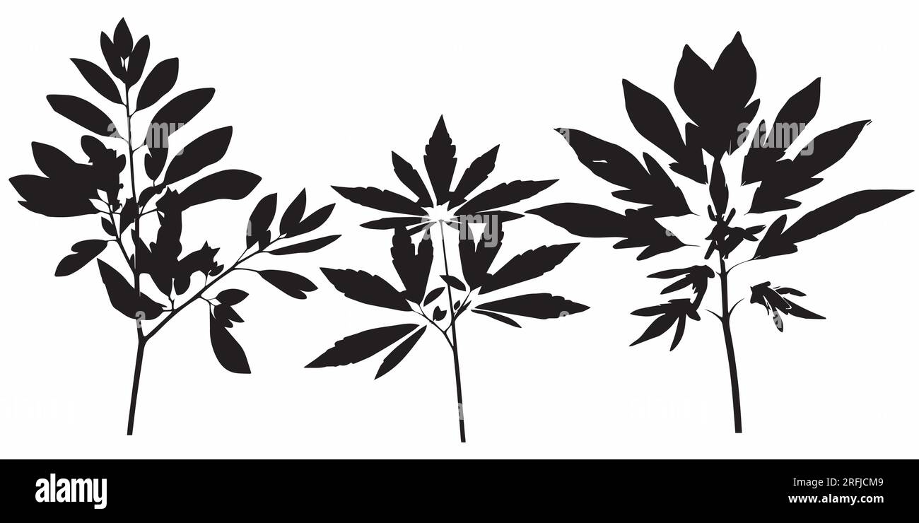 Set of silhouette leaves vector illustration Stock Vector Image & Art ...