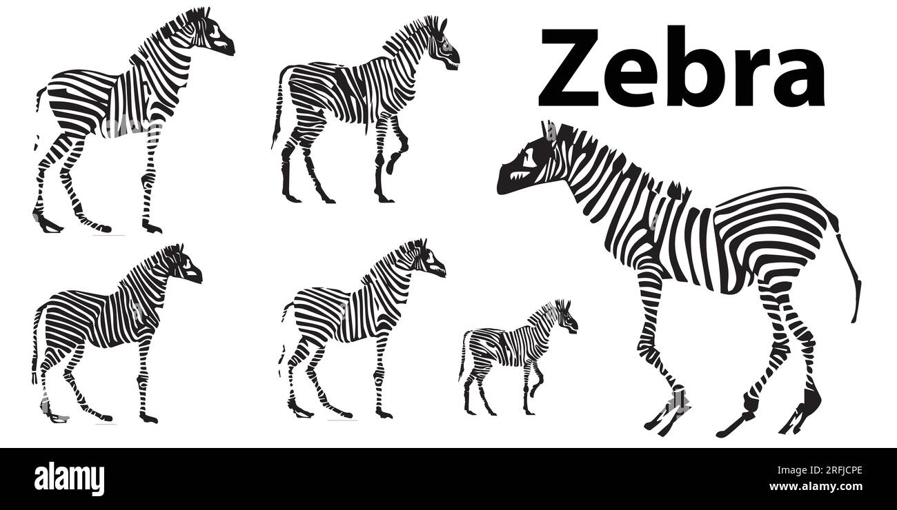 A set of Silhouette Zebra Vector Illustration Stock Vector Image & Art ...
