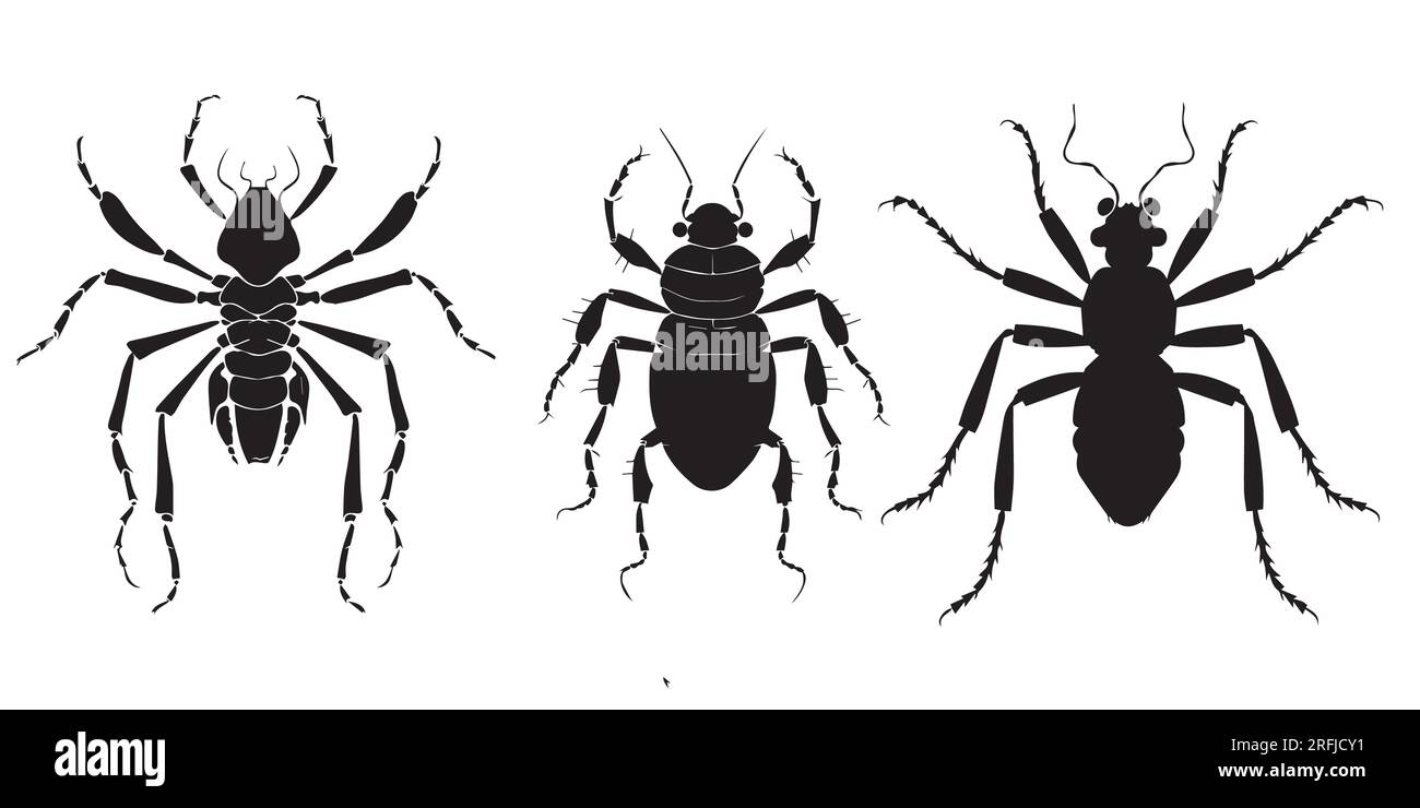 Set of silhouette Insects Vector illustration Stock Vector Image & Art - Alamy