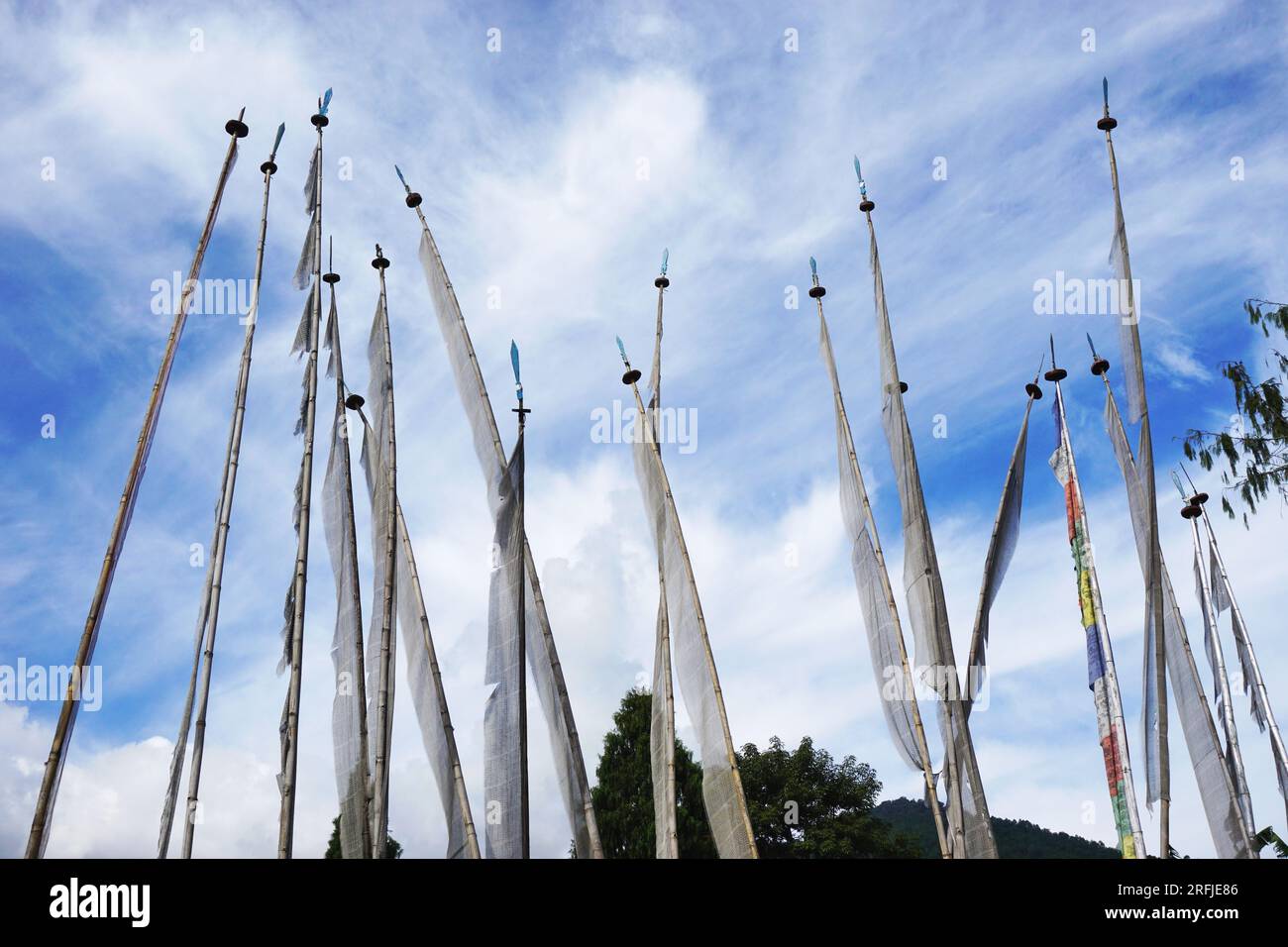 A forest of tall prayer flag poles silhouetted against a blue sky with ...