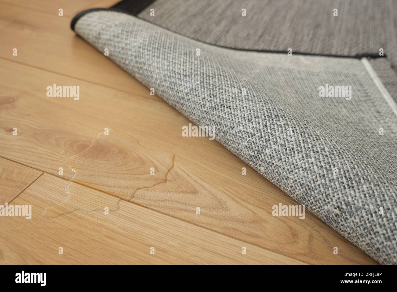 Seamless grey carpet texture background on wooden floor with copy space ...