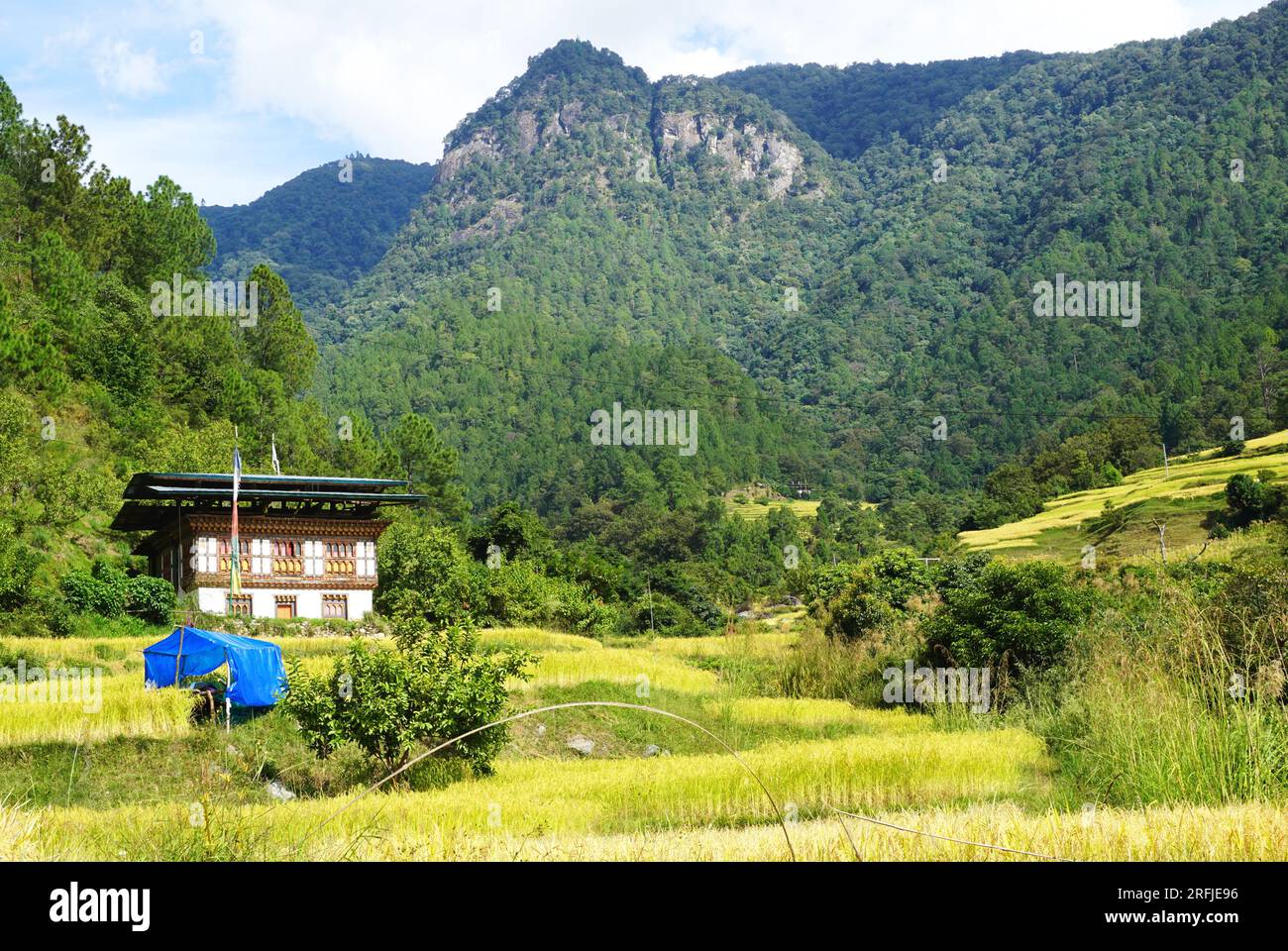 Bhutanese house with traditional architectural style woodwork and ...