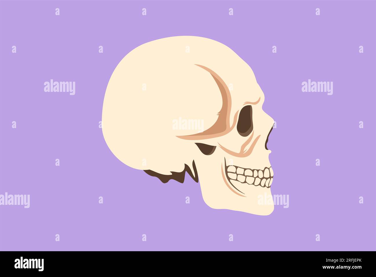 Graphic flat design drawing stylized white skull logo, icon, label ...