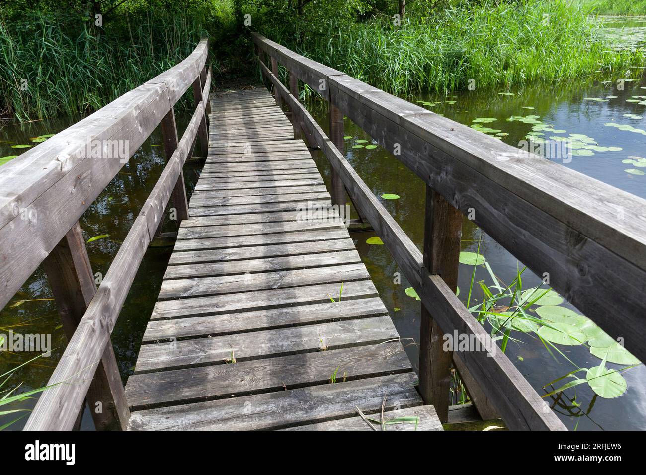 a bridge between small islands on the lake, old wooden bridge built on ...