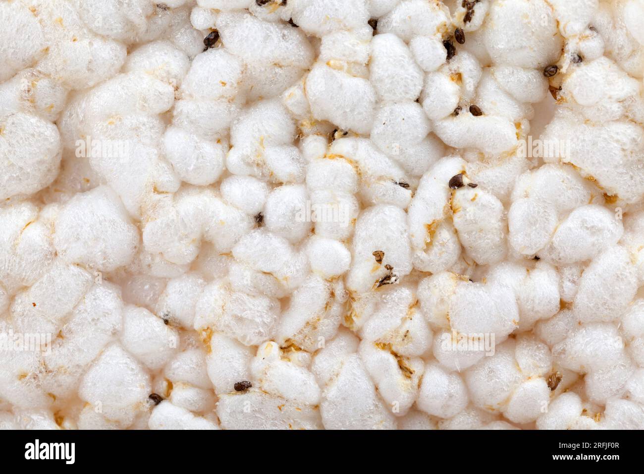 round rice loaves made from rice grains, processed rice from which ...