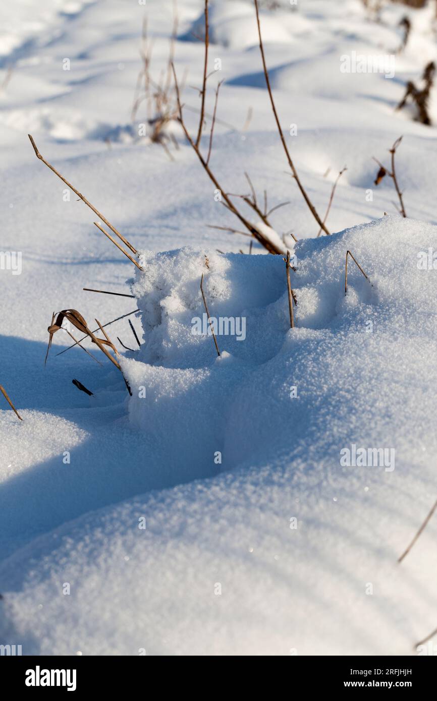 large snowdrifts after snowfalls and blizzards, the winter season with ...