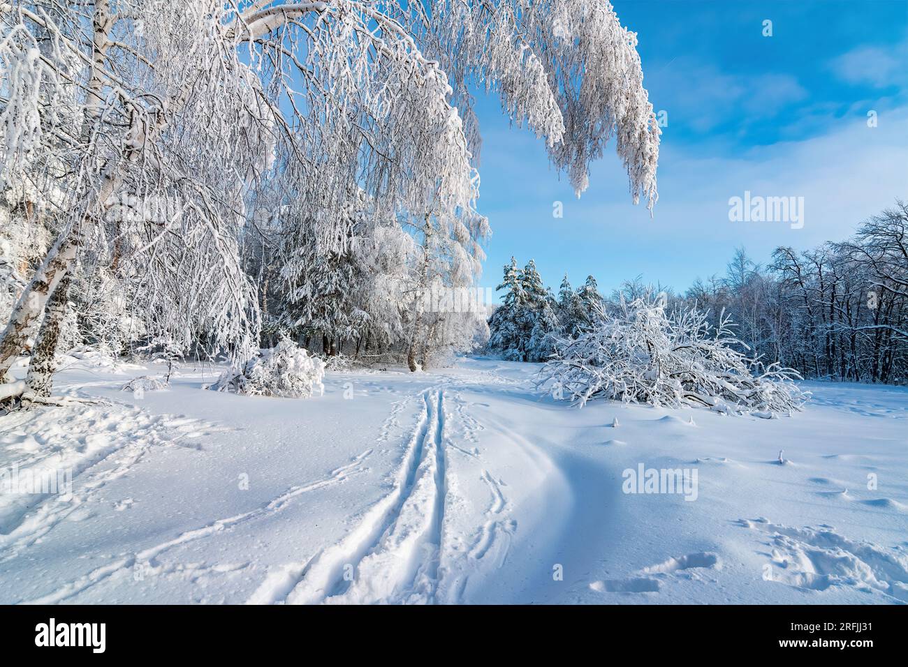 Calm Winter Backgrounds