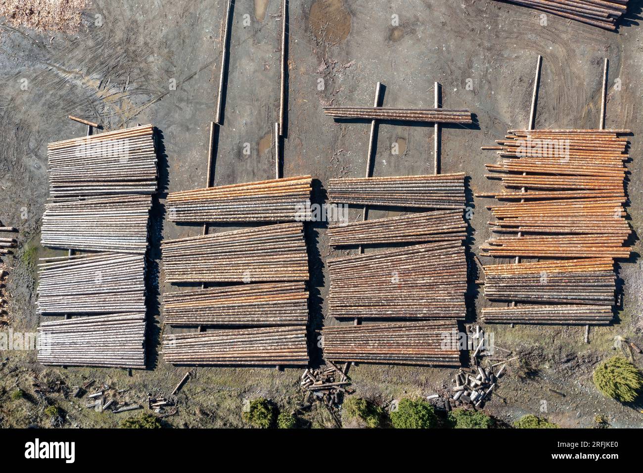 Aerial view of pile of wood hi-res stock photography and images - Alamy