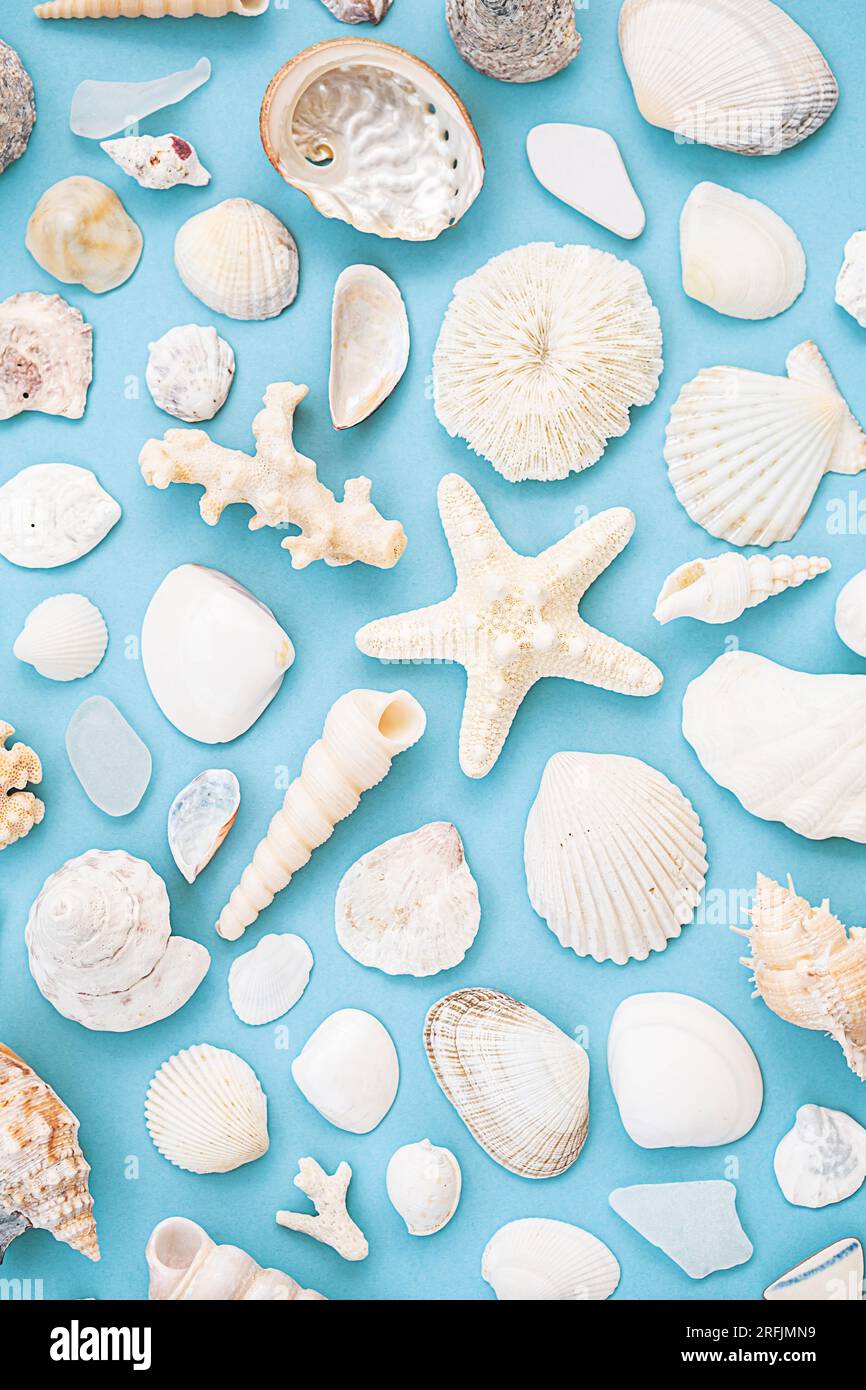 Maritime summery pattern. Seashells, starfish, coral various beach ...
