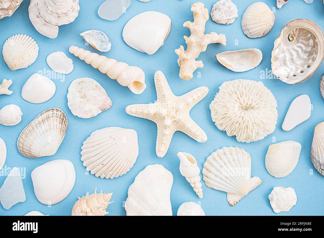 Maritime summery pattern. Seashells, starfish, coral various beach ...