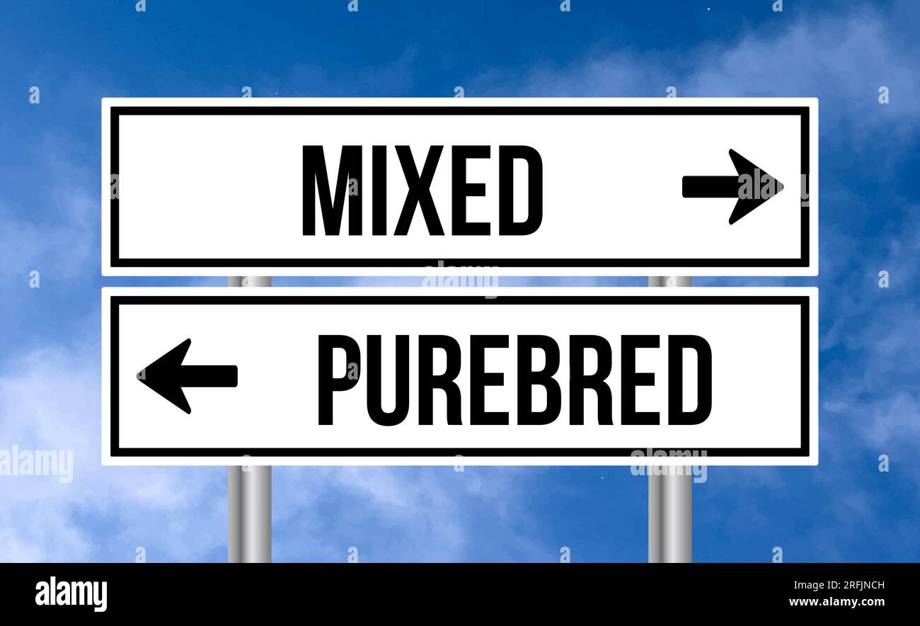 Mixed or purebred road sign on cloudy sky background Stock Photo - Alamy