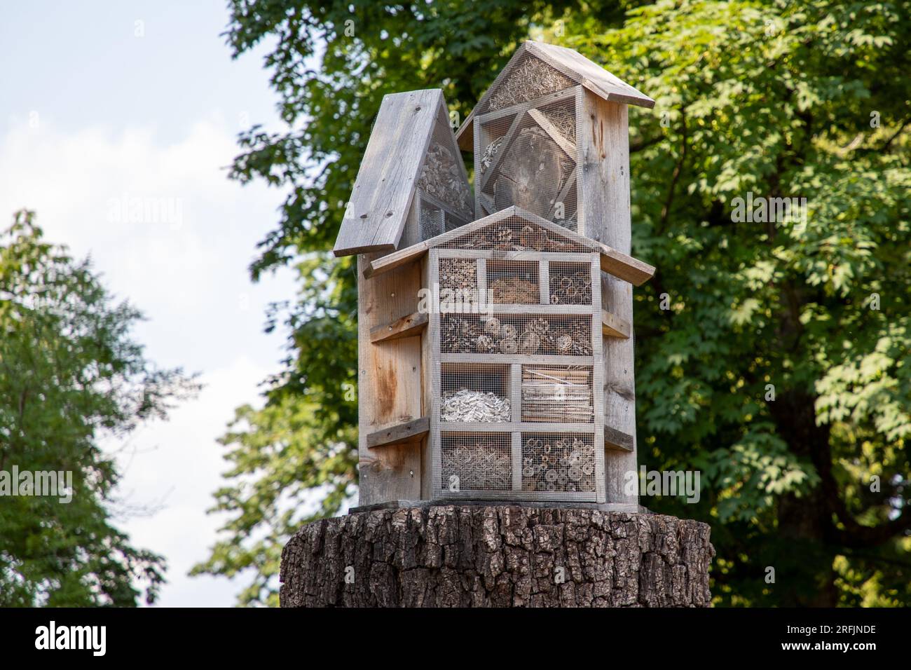 insect hotel three wooden hut for butterfly bee and animals Stock Photo ...