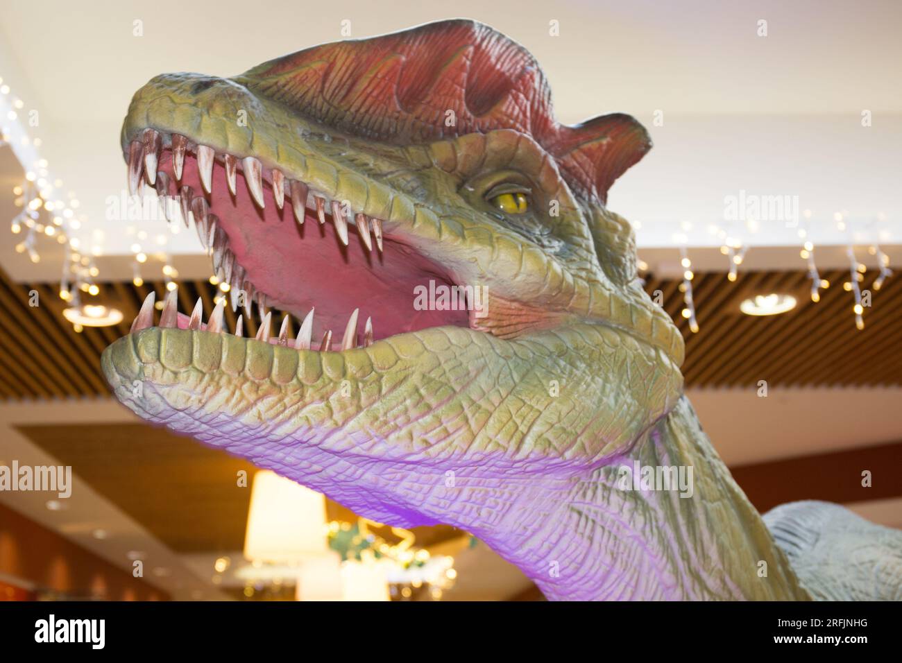 toy model of a dinosaur profile portrait of the head Stock Photo - Alamy