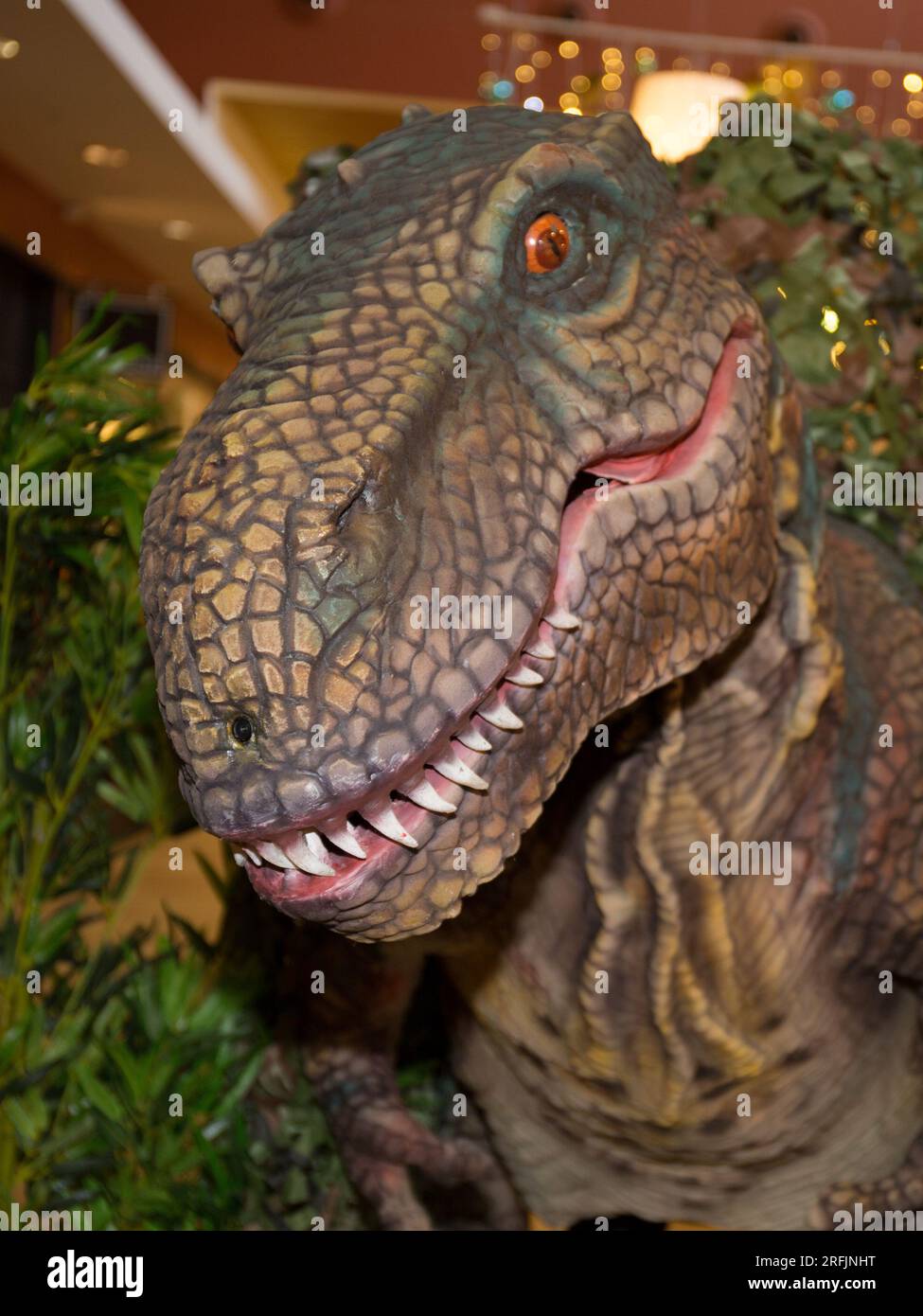 a t-rex looking to you, in exhibition Stock Photo - Alamy