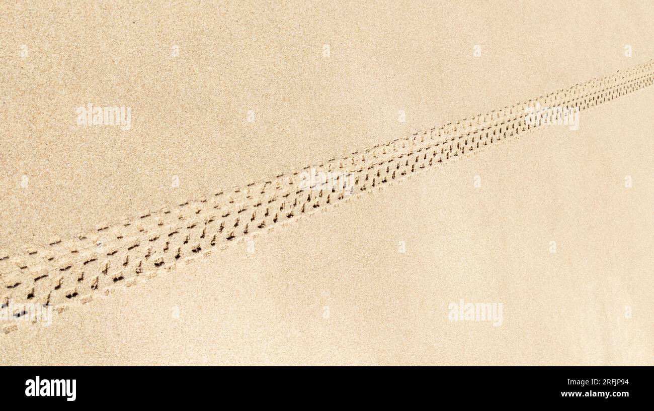 bike tracks tire print bicycle in sandy beach low tide sand desert ...