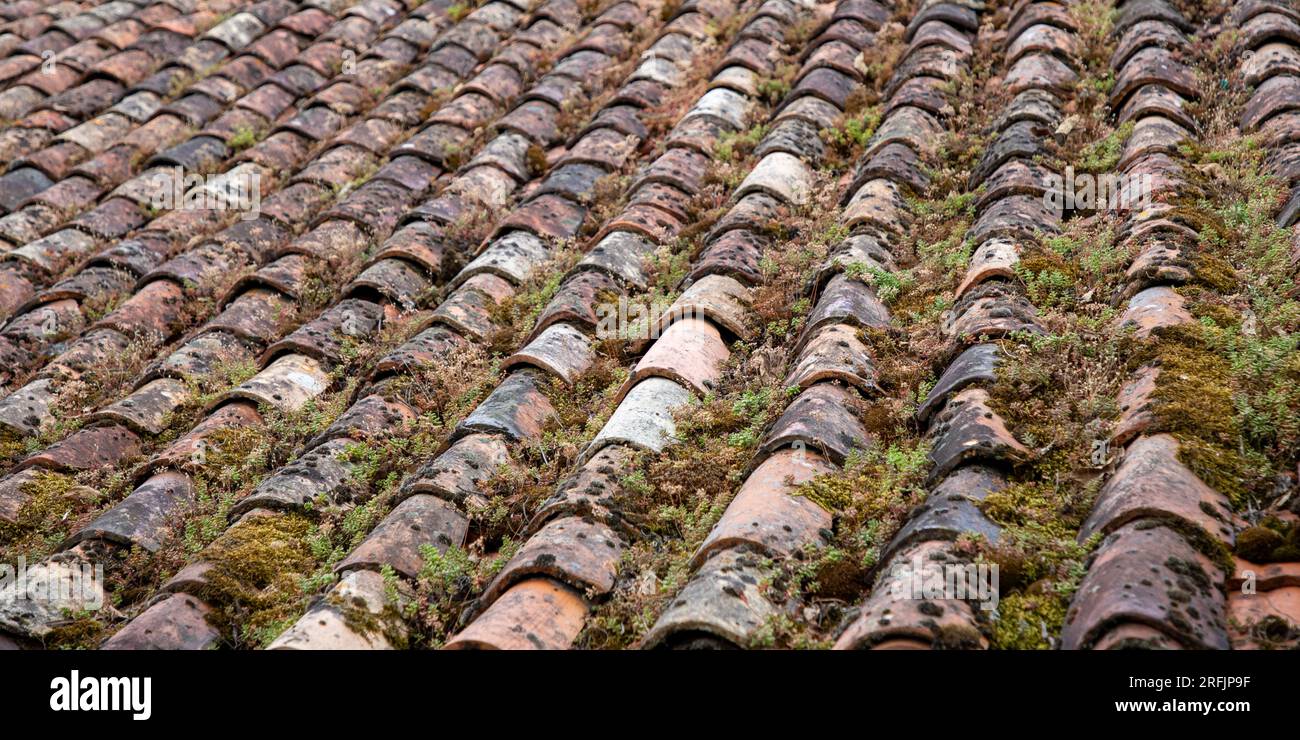 red old ceramic roof tile ancient background texture moss covered ...