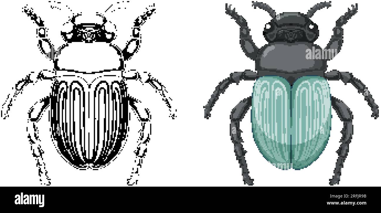 Scarab Beetle Outline for Colouring illustration Stock Vector Image ...