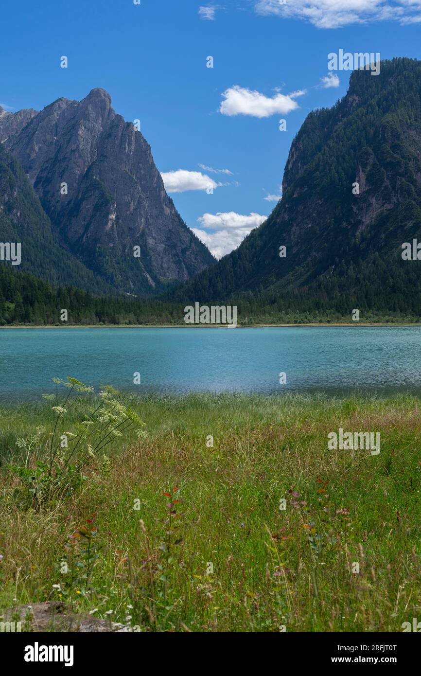 Vaccaton hi-res stock photography and images - Alamy